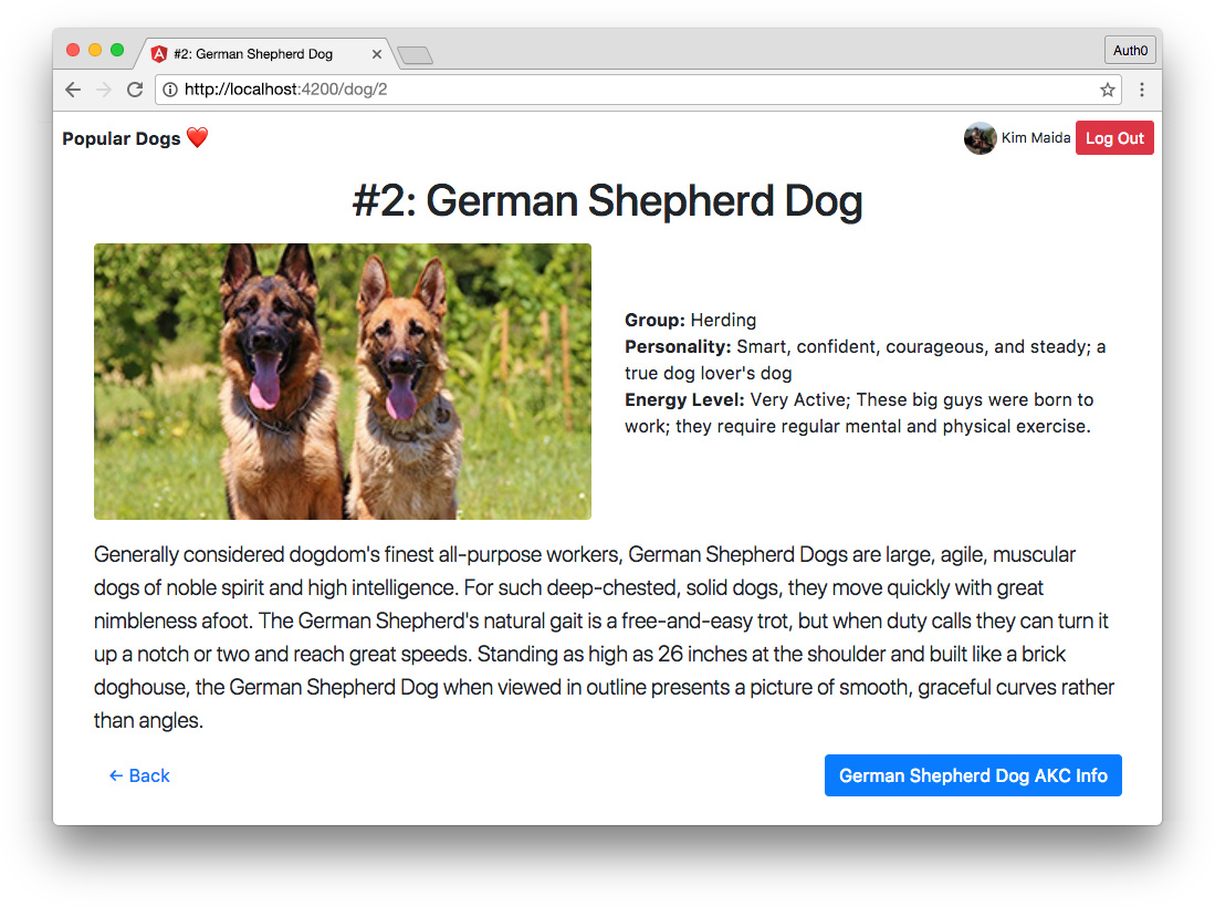 How To Authenticate Firebase And Angular With Auth0 Part 2 Async And Realtime